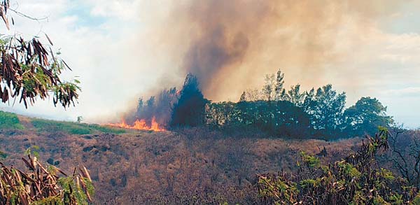 Brush fire partially closes Pulehu road | News, Sports, Jobs - Maui News